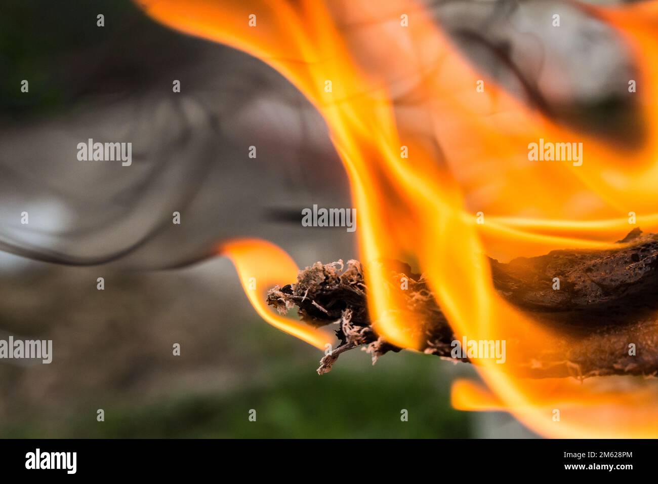 Close up wood fire tree hi-res stock photography and images - Alamy