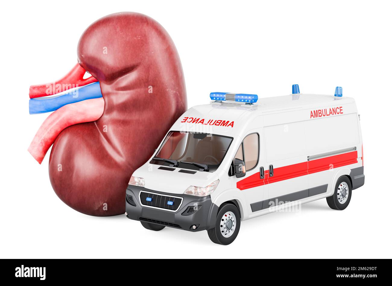Human kidney with ambulance van. 3D rendering isolated on white ...