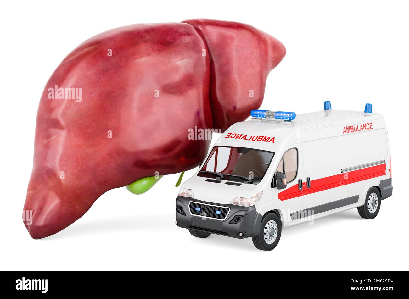 Human liver with ambulance van. 3D rendering isolated on white ...