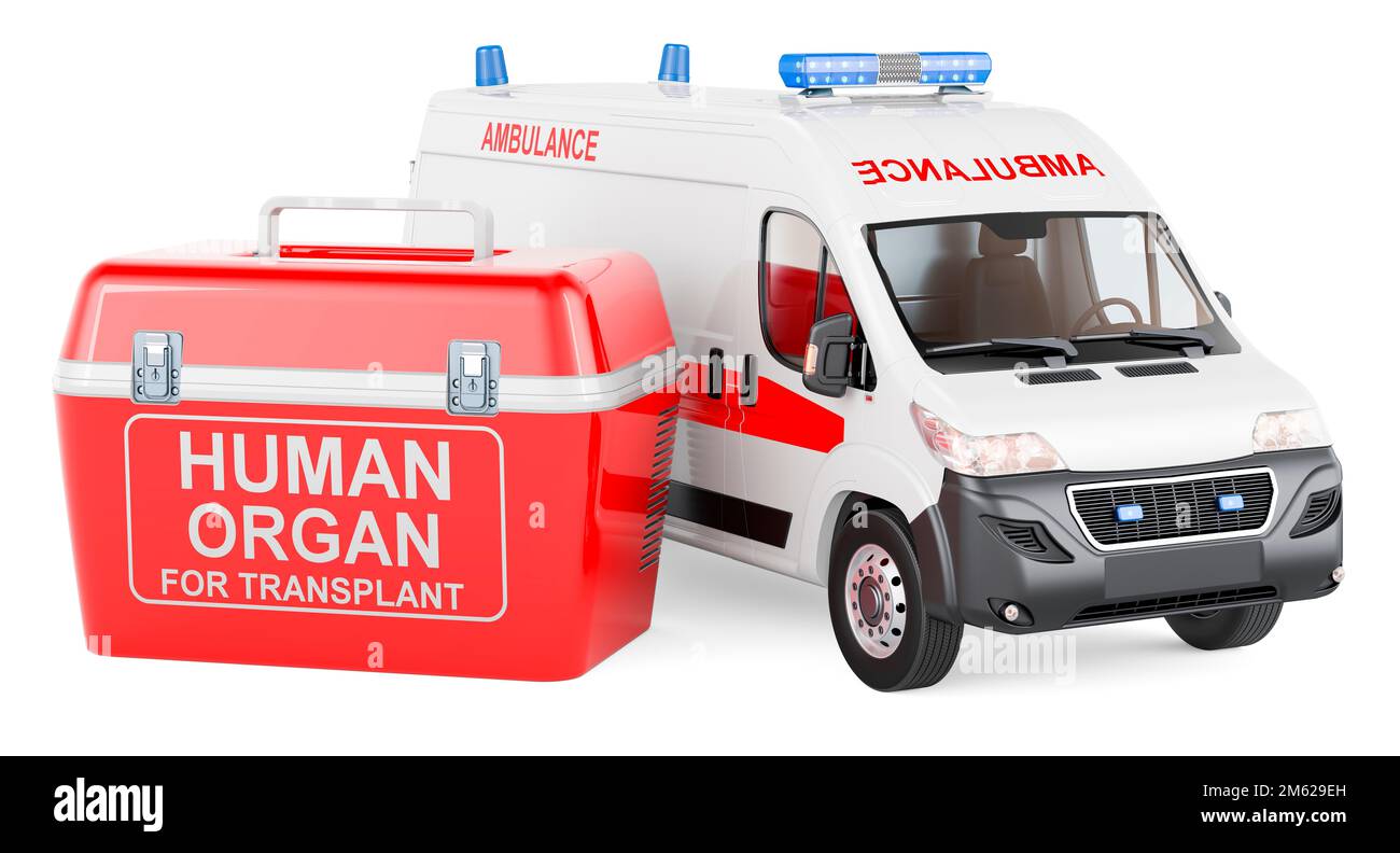 Portable fridge for transporting donor organs with ambulance van. 3D ...
