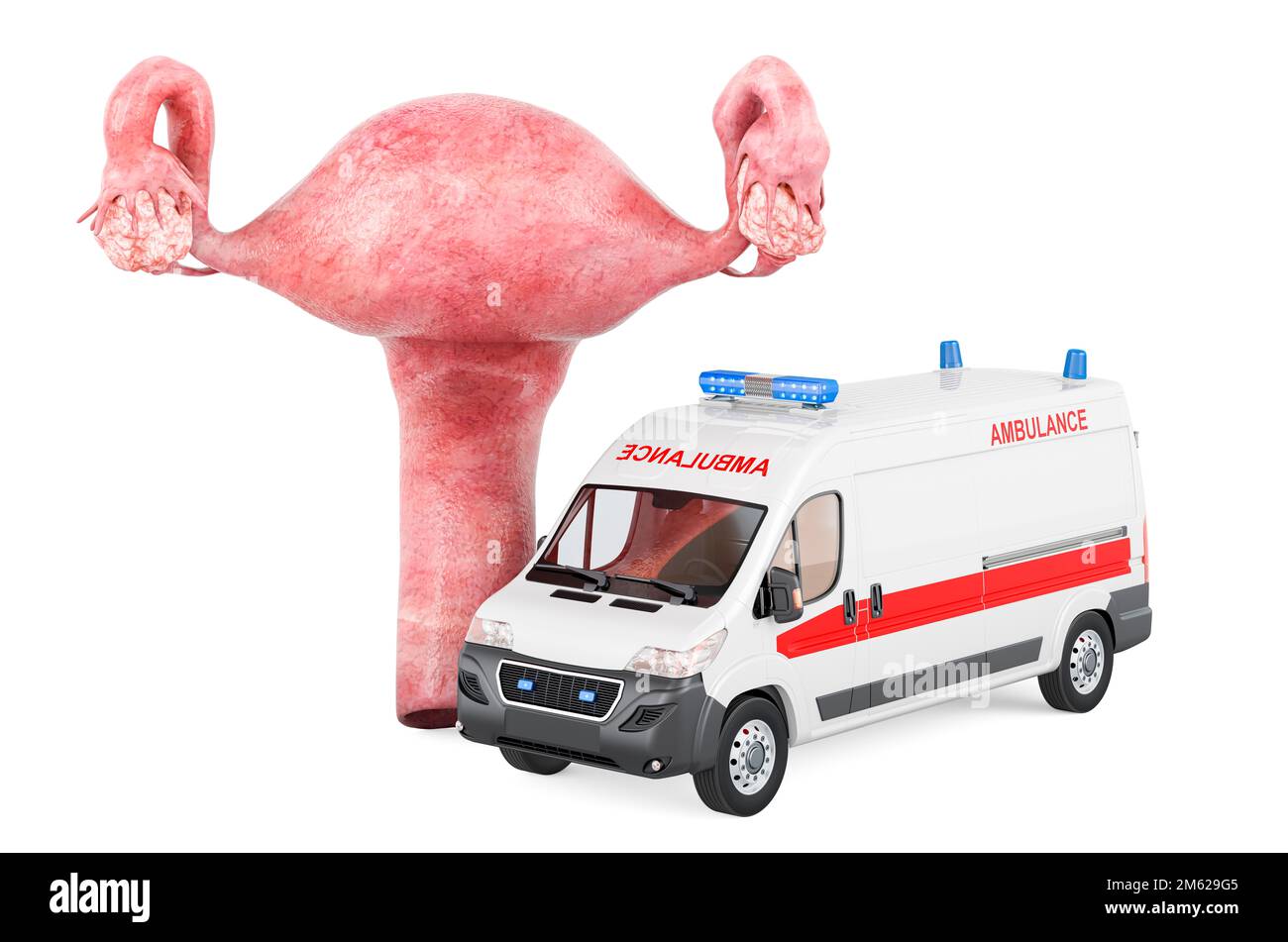 Uterus with ambulance van. First Medical Aid and Treatment of uterus ...