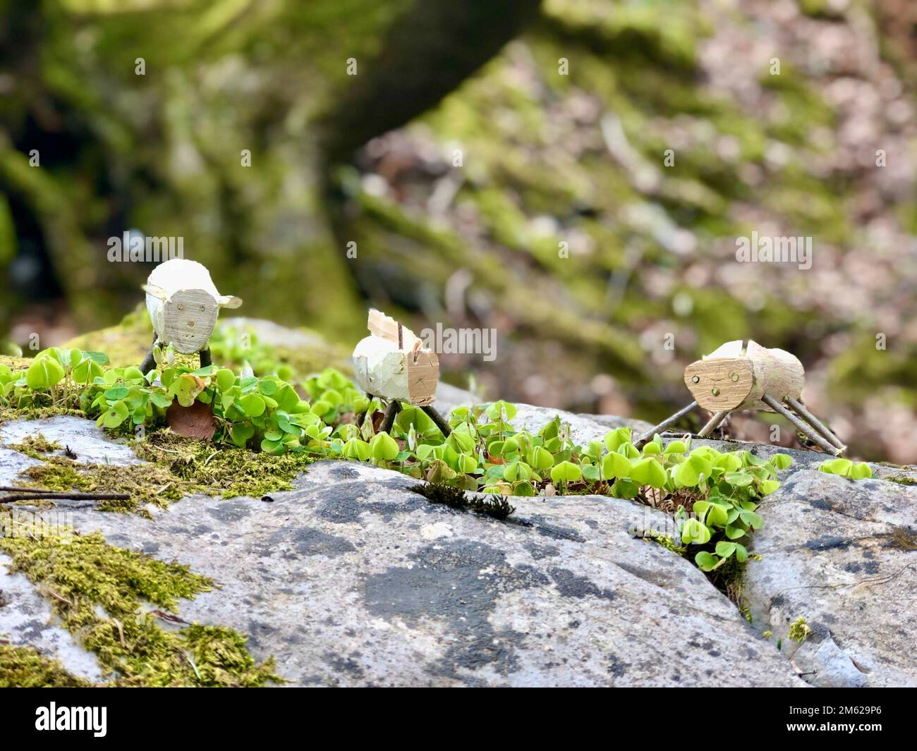 Little stick animals with small natural growth on a rock Stock Photo ...