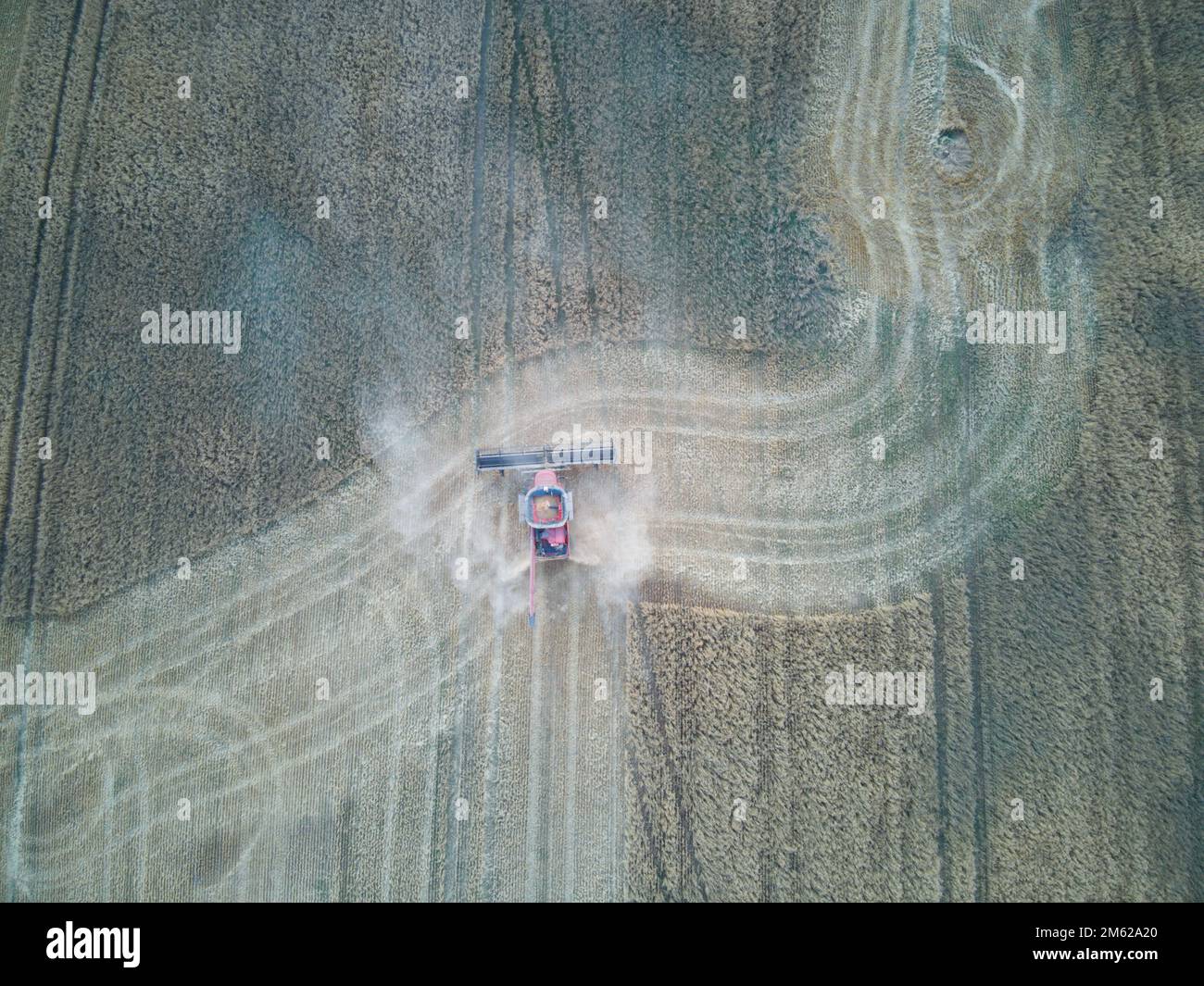 Wheat field harvester aerial view with crop marks and tracks, cutting ...
