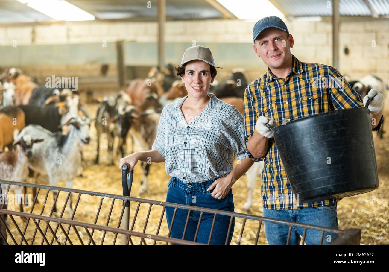 Bucket hay hi-res stock photography and images - Alamy