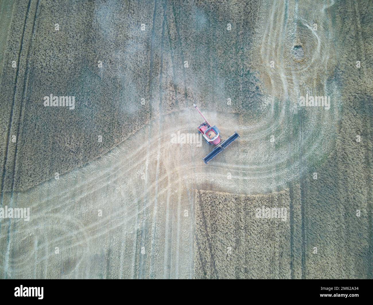 Wheat field harvester aerial view with crop marks and tracks, cutting ...