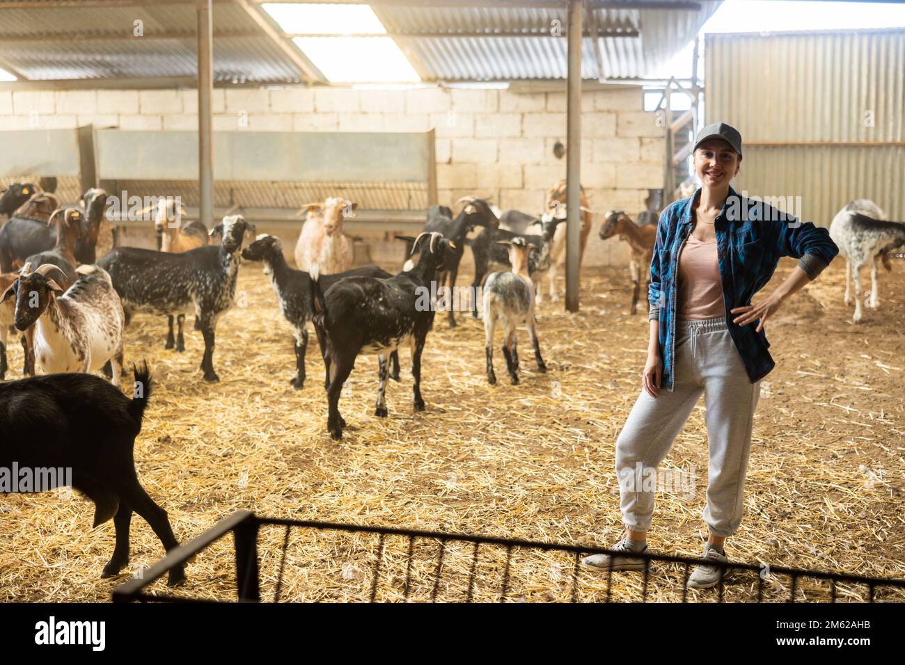 Cheerful female working with hay and straw in barn on goat farm Stock ...