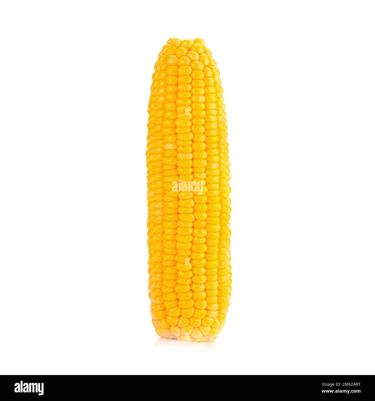 Corn on white background Stock Photo - Alamy