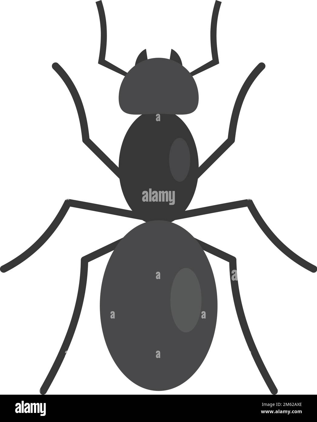 Animal ant icon. Flat illustration of Animal ant vector icon for web ...