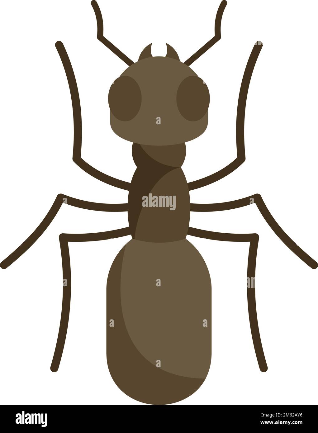 Insect ant icon. Flat illustration of Insect ant vector icon for web ...