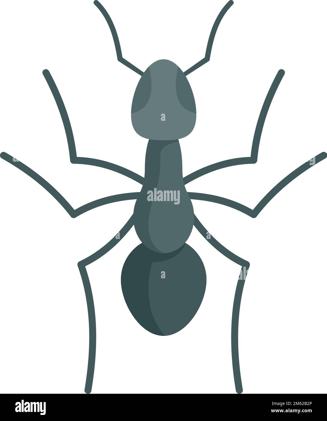 Teamwork ant icon. Flat illustration of Teamwork ant vector icon for ...