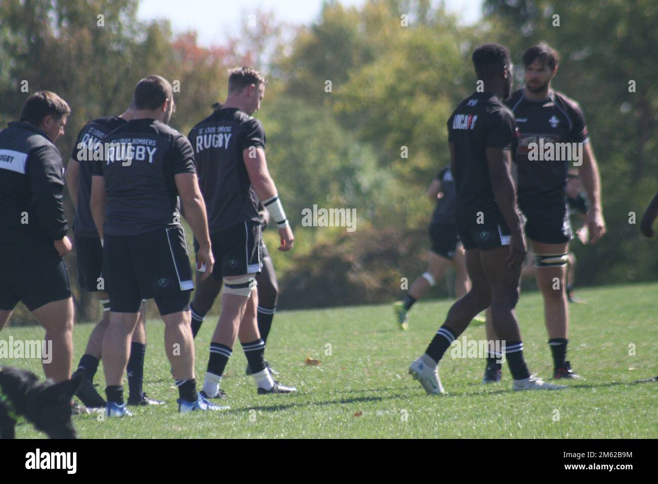 Bomber rugby football club hi-res stock photography and images - Alamy