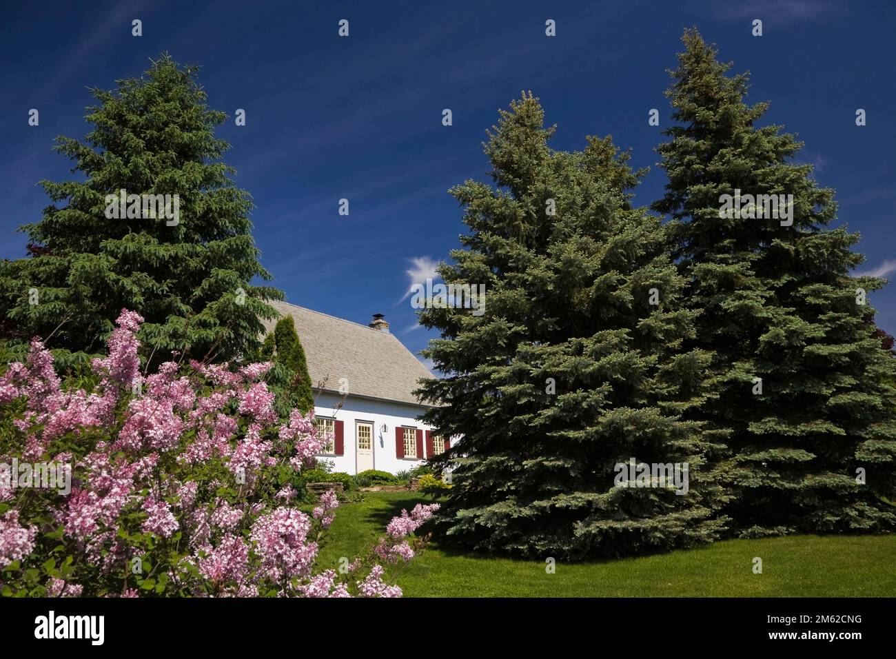 Old 1772 white with beige and burgundy trim French regime style home ...