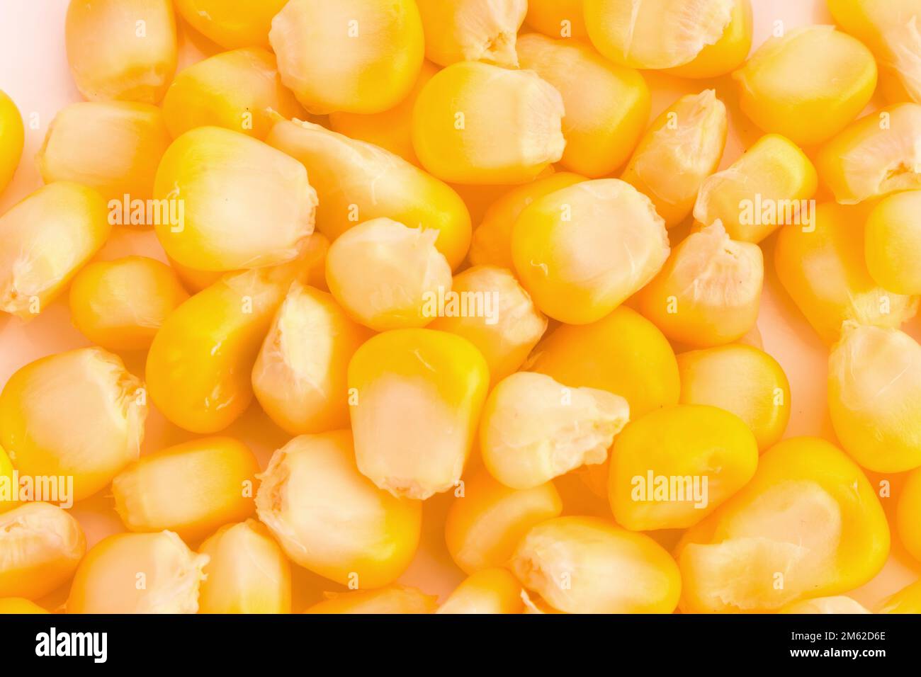 Corn grain vector hi-res stock photography and images - Alamy