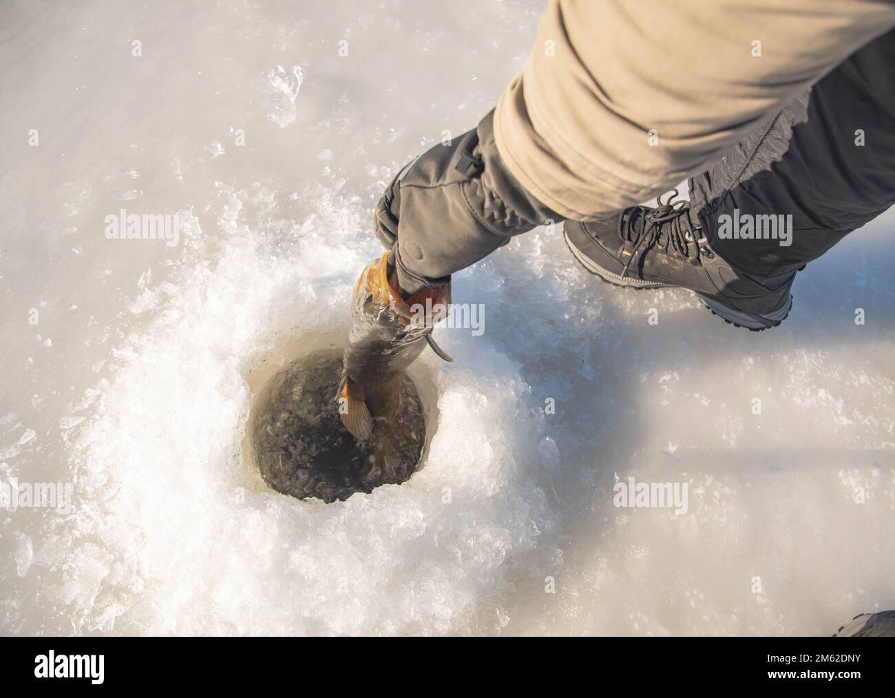 Winter fishing on ice, hobby leisure activities, catching fish Stock ...