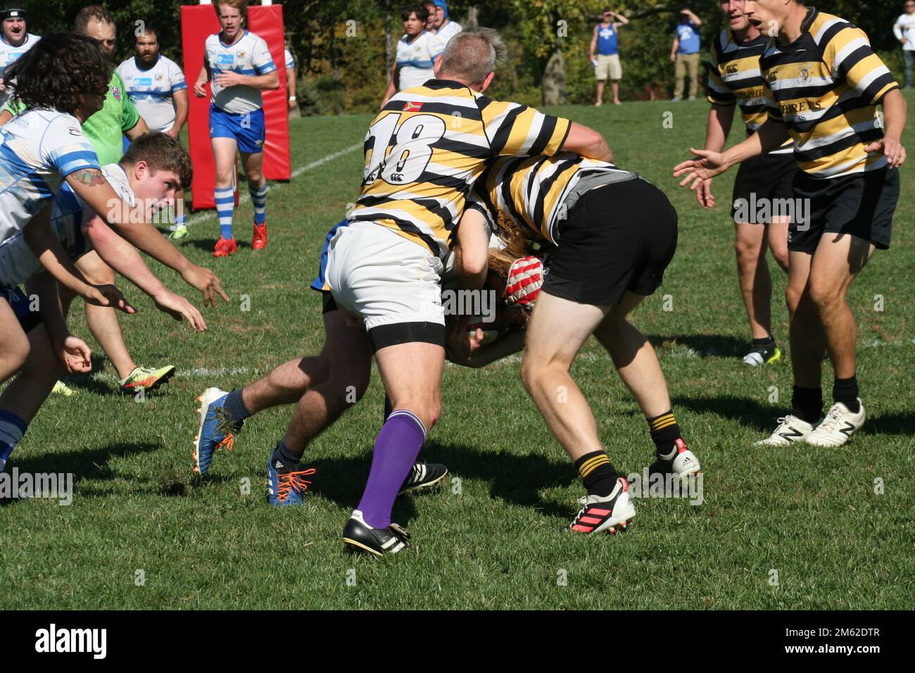 St. Louis Rugby in Forest Park-St. Louis, Missouri, USA Stock Photo - Alamy