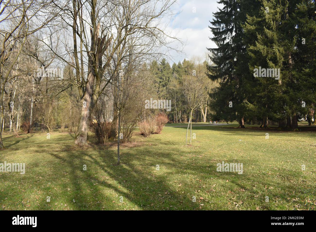 Field in a public park Stock Photo - Alamy