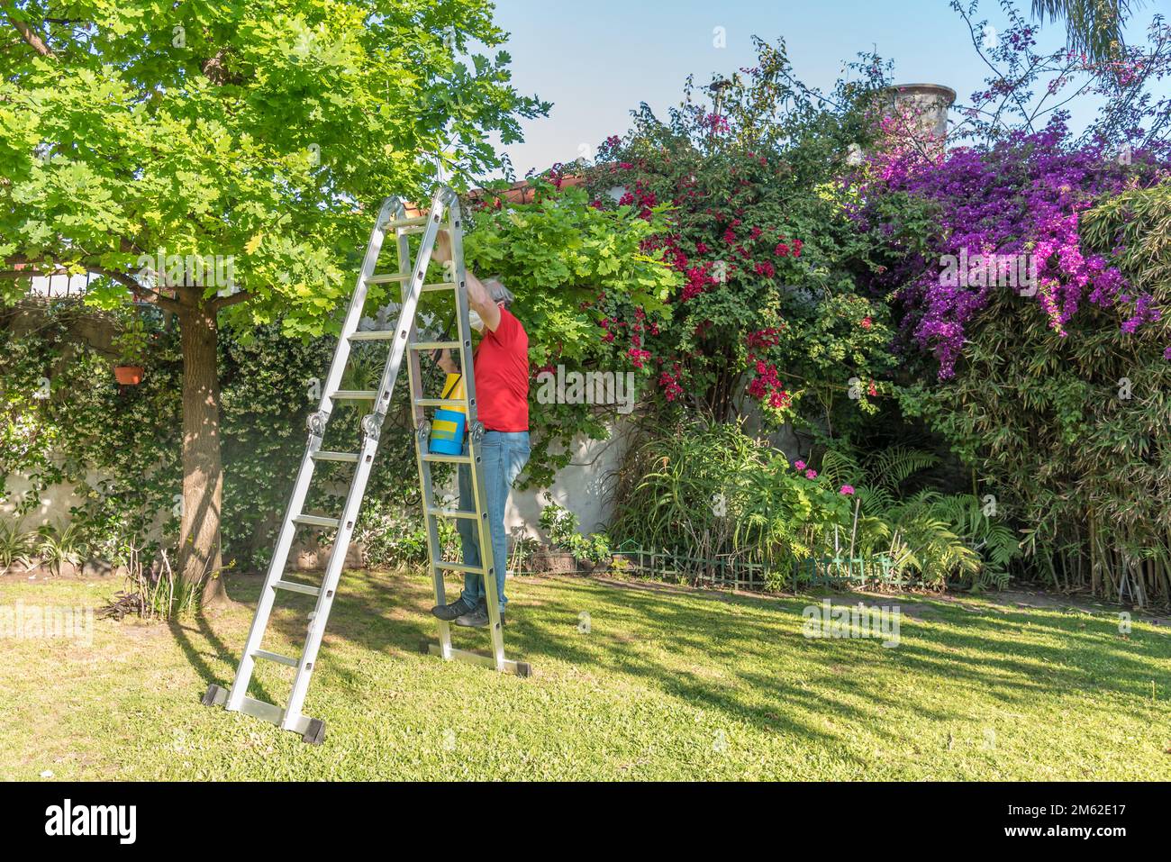 Older man with goggles climbing metal ladder with insecticide sprayer ...
