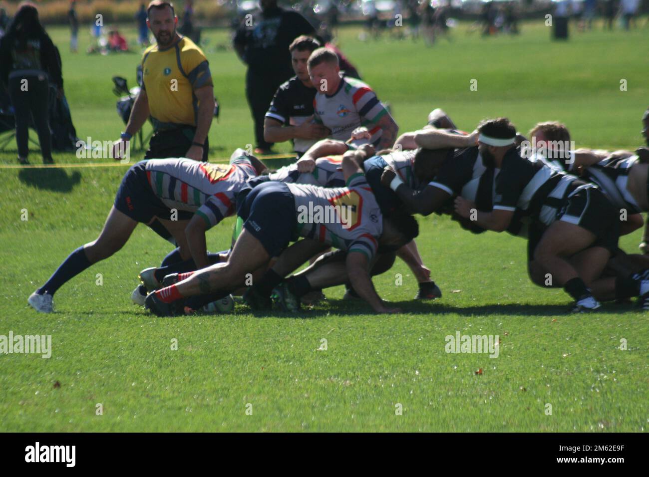 Mrfu hi-res stock photography and images - Alamy