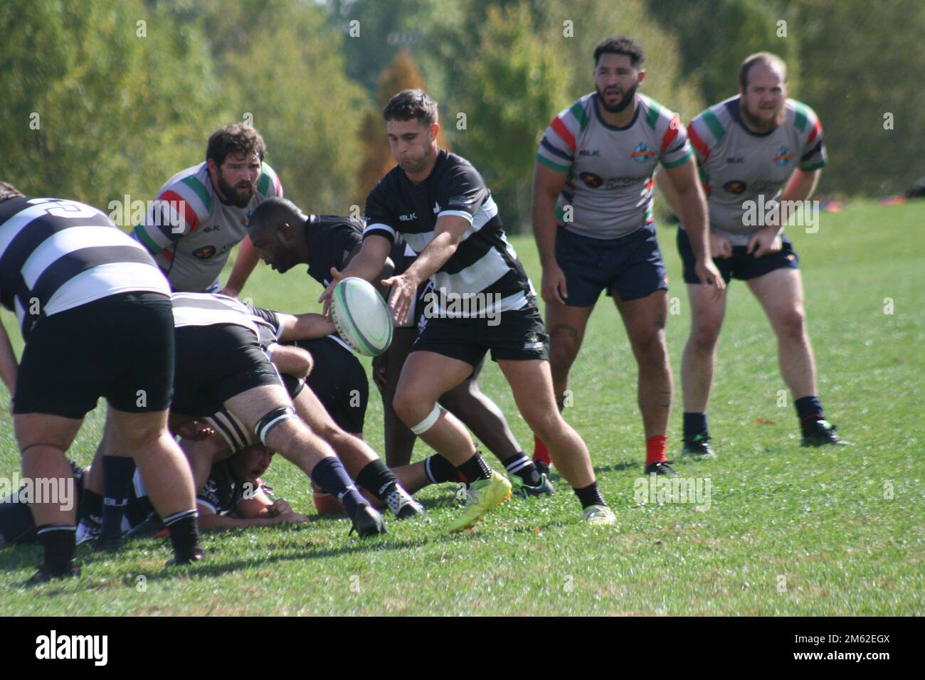 St. Louis Rugby Tournament ain Forest Park-St. Louis, Missouri, USA ...