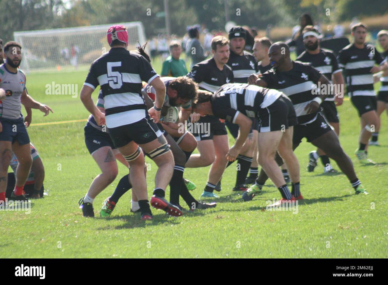 St. Louis Rugby Tournament ain Forest Park-St. Louis, Missouri, USA ...