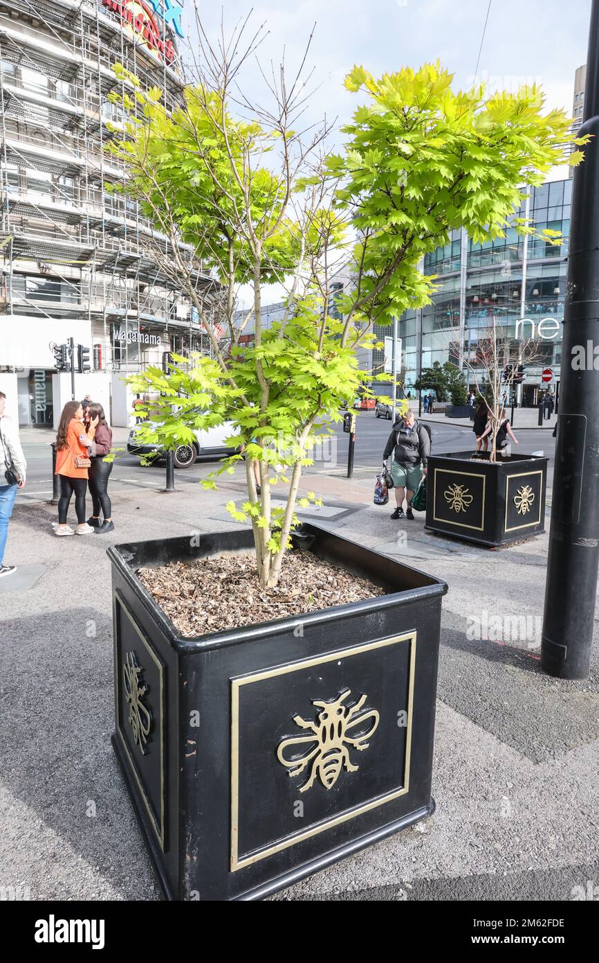 Manchester,city,city centre,center,North West, England,North West ...