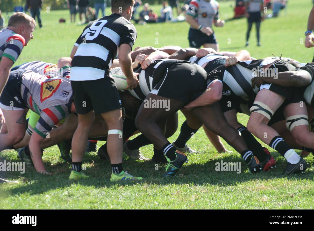 Mrfu hi-res stock photography and images - Alamy