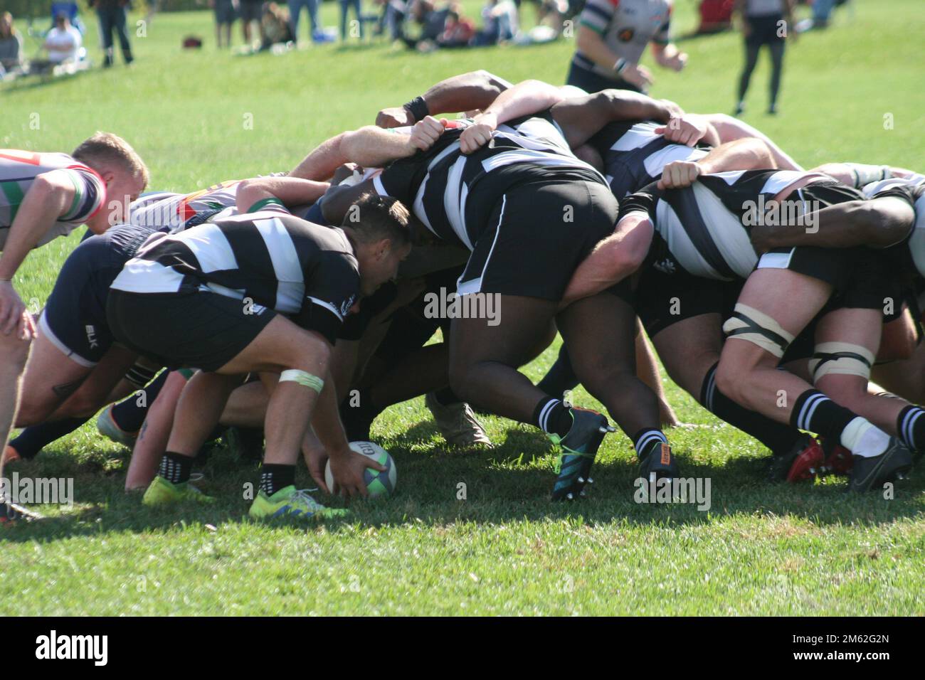 Mrfu hi-res stock photography and images - Alamy