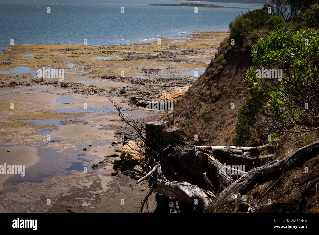 Corinella,Coronet Bay Australia Victoria Stock Photo - Alamy