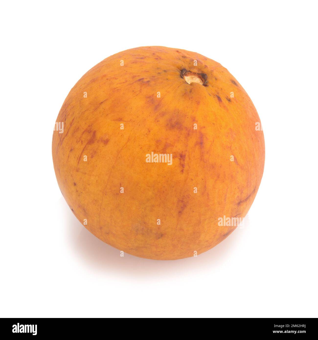 Santol fruit hi-res stock photography and images - Alamy