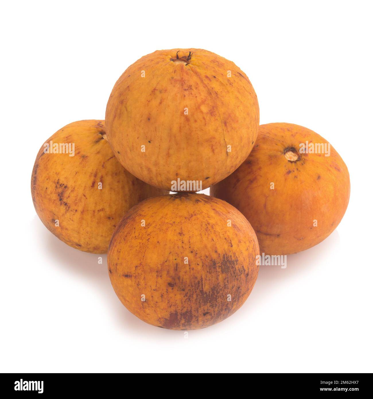 Santol Fruit In English