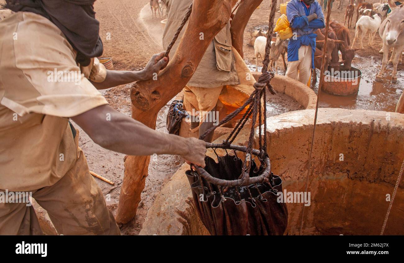 Mali/Timbuktu/ People pulling water from a desert well in the Sahara ...