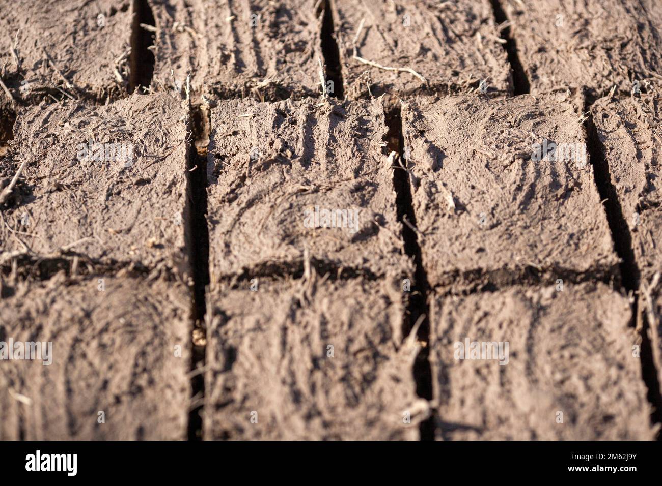 Making traditional adobe mud bricks in Mali, West Africa Stock Photo ...