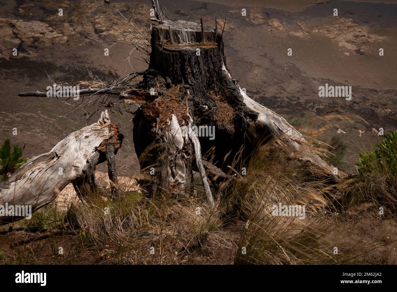Corinella,Coronet Bay Australia Victoria Stock Photo - Alamy