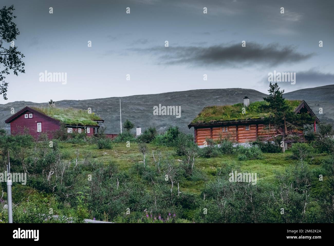 Beautiful wooden peat house with grass roof in the mountains of Norway ...