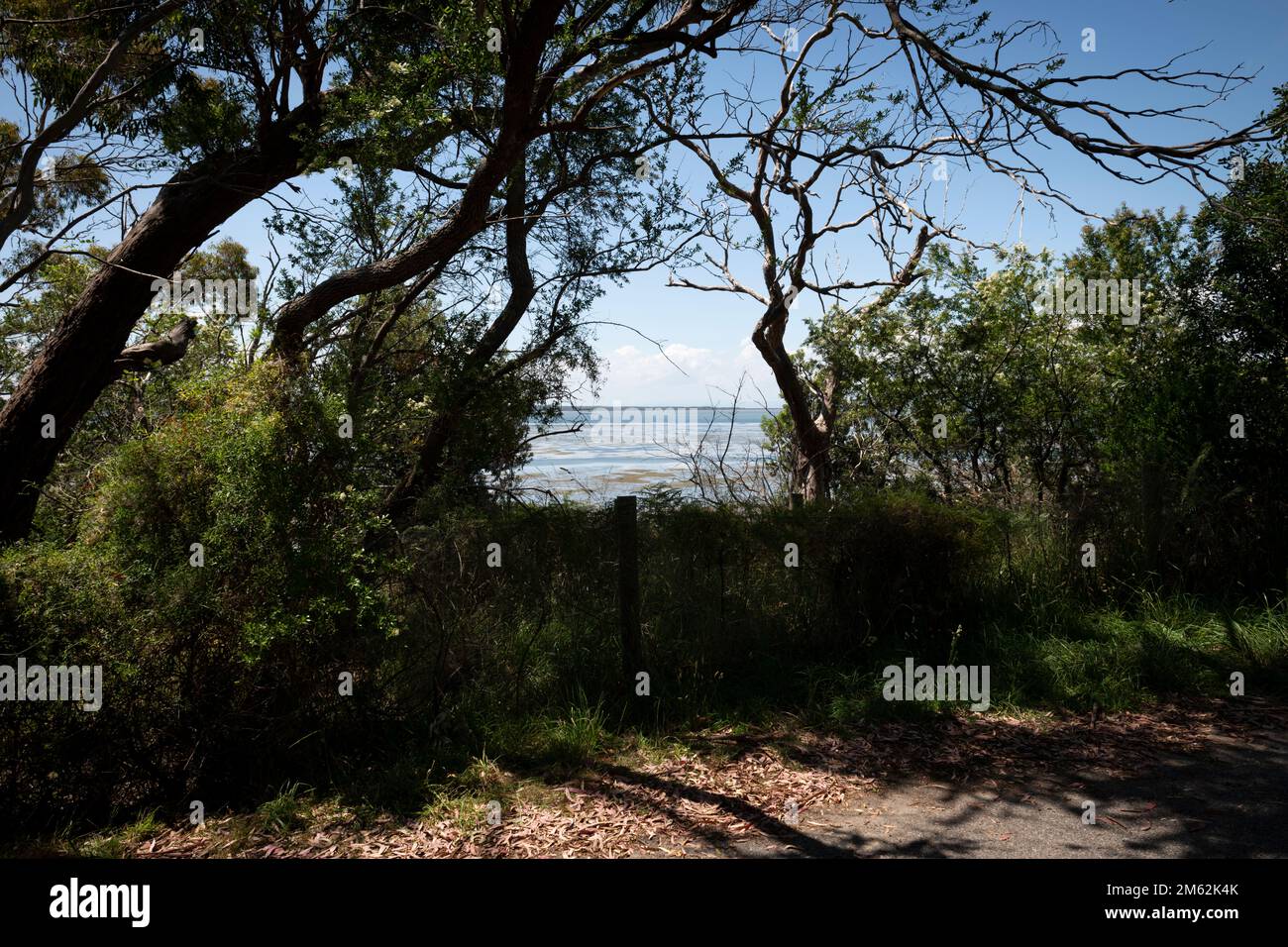Corinella,Coronet Bay Australia Victoria Stock Photo - Alamy