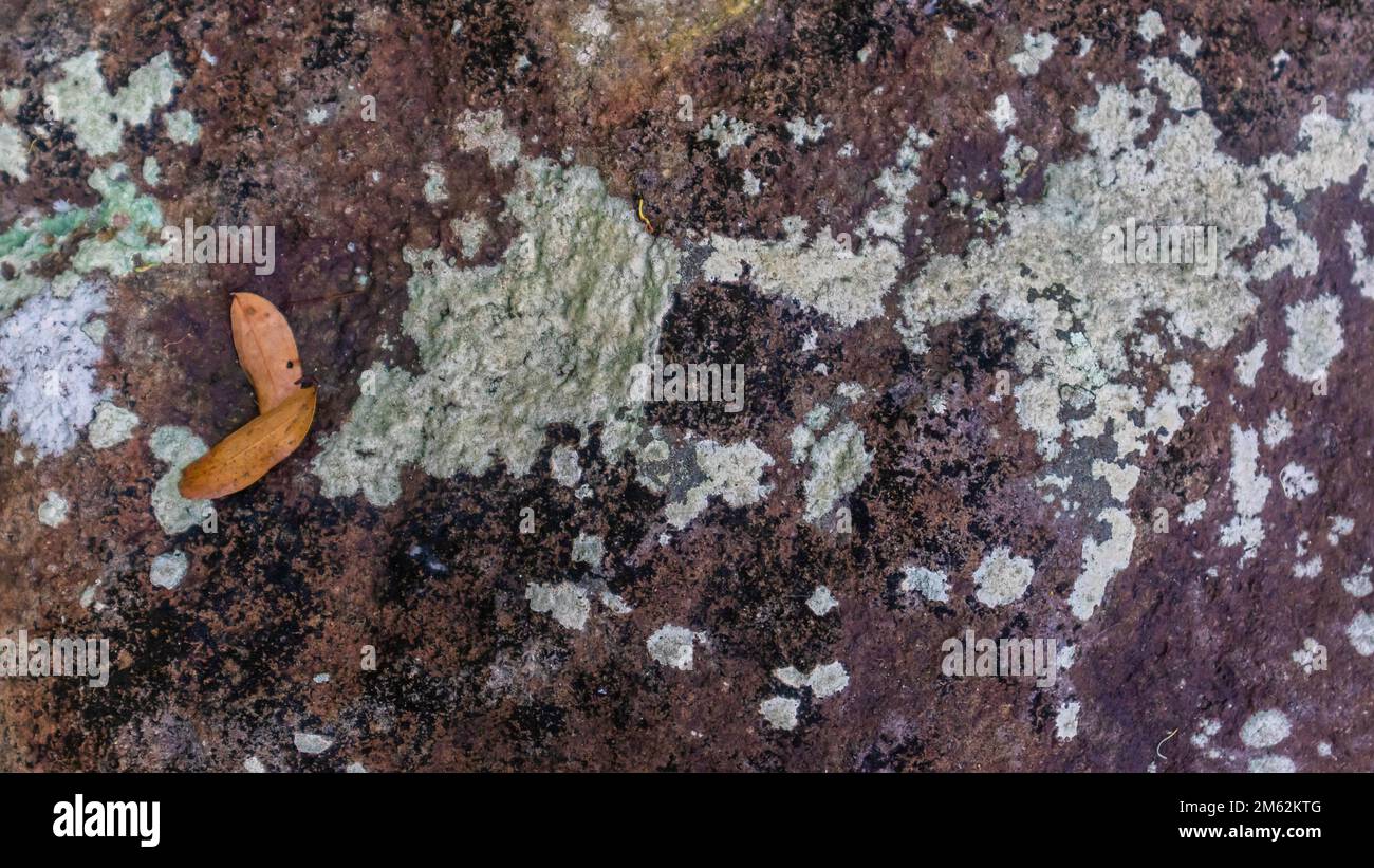 amazing stone texture as background Stock Photo - Alamy