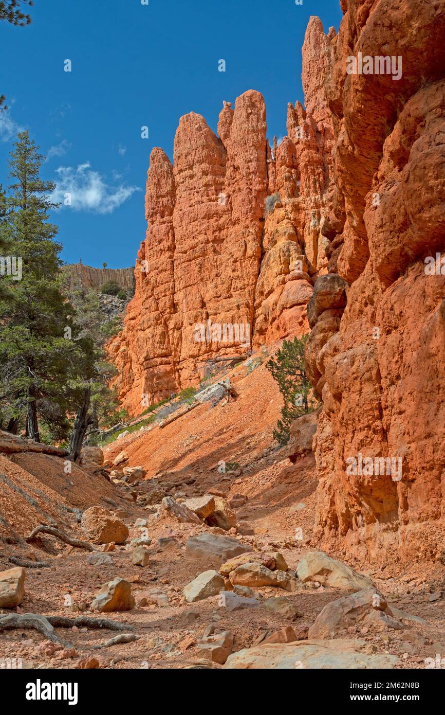 Remote beautiful wilderness hi-res stock photography and images - Alamy