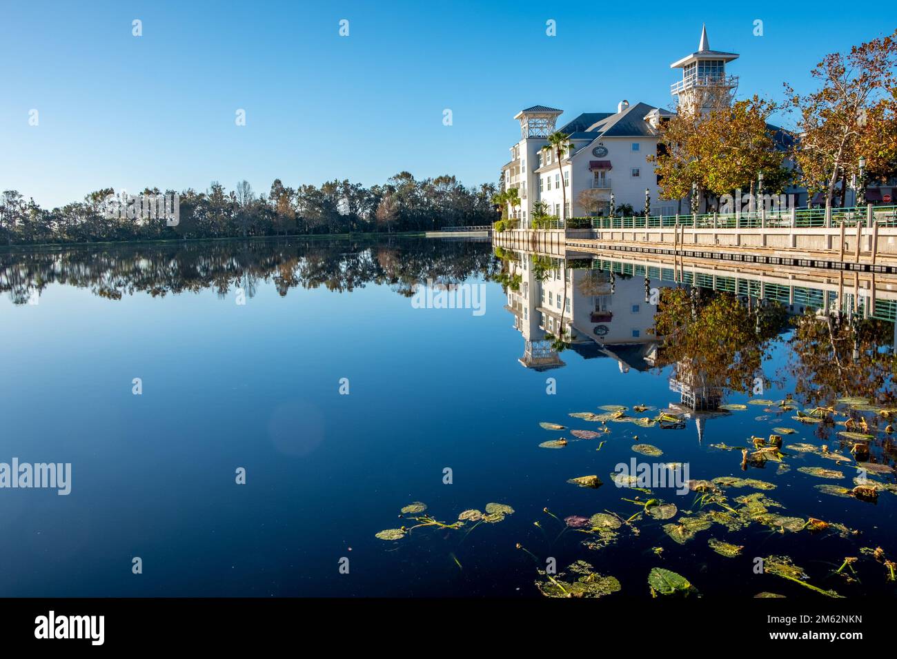 Reflections of buildings in a lake in Celebration Florida Stock Photo ...