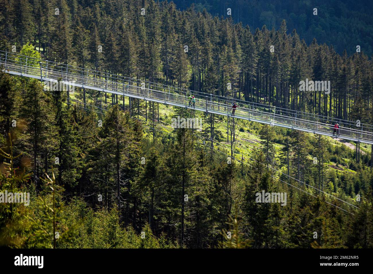 Tourists cross the world's longest suspension footbridge; Sky Bridge ...