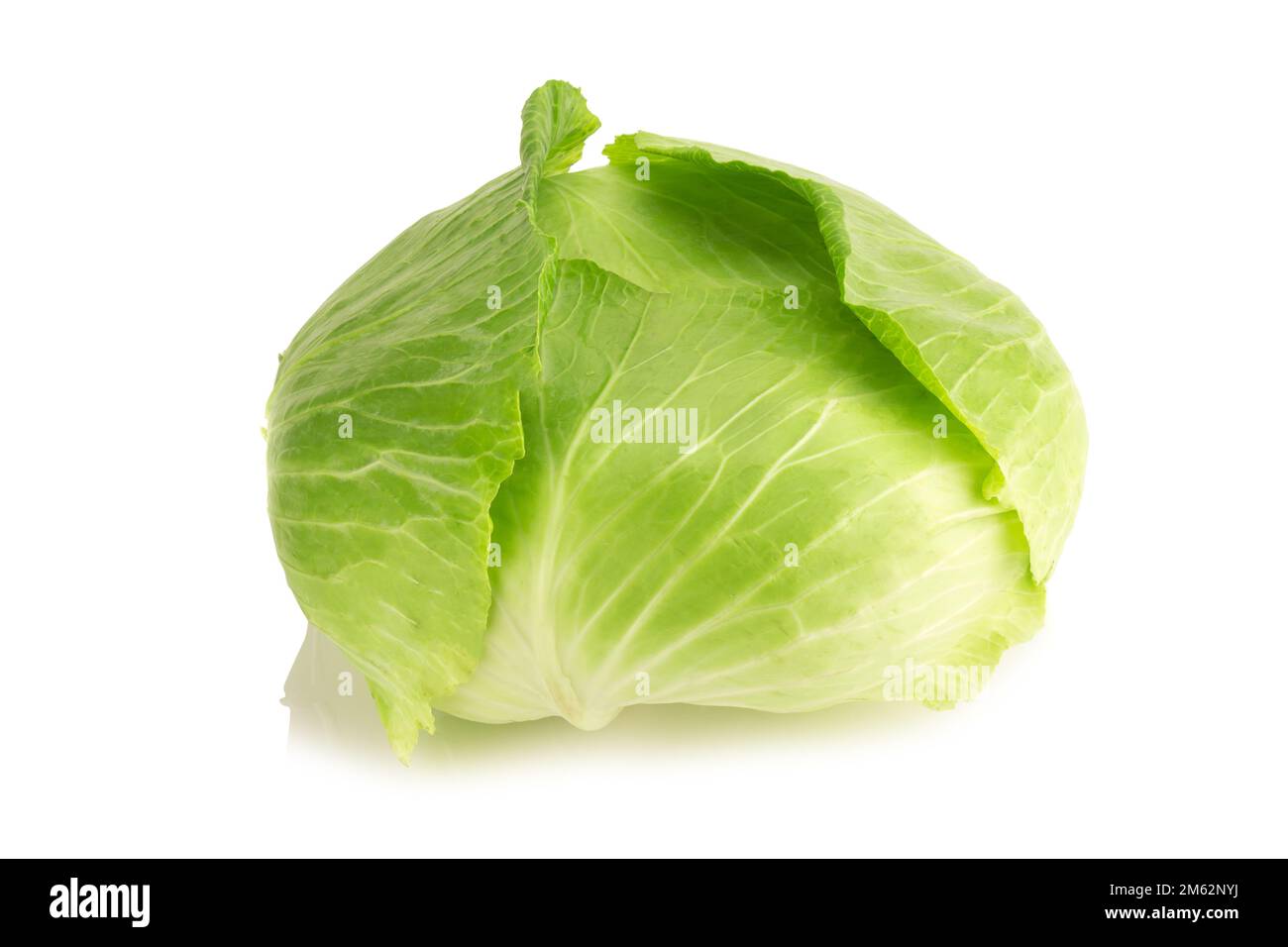 cabbage isolated on white background Stock Photo - Alamy