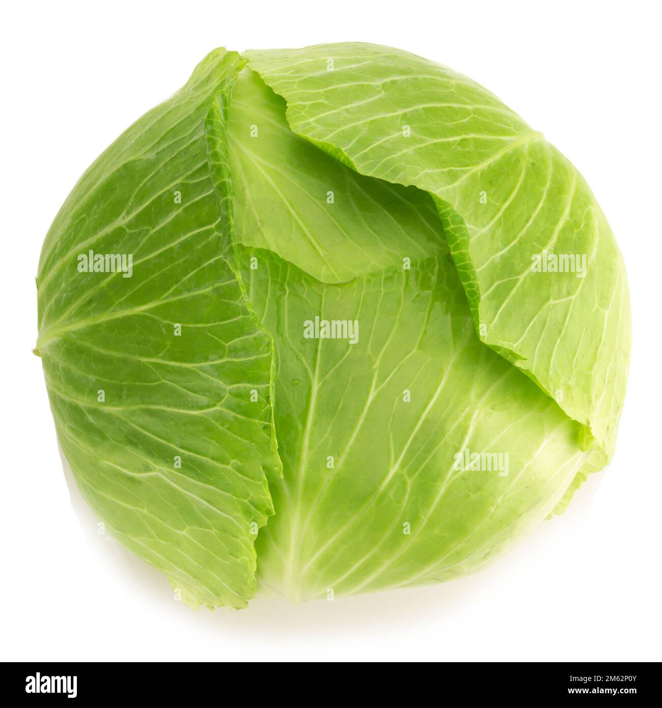 cabbage isolated on white background Stock Photo - Alamy