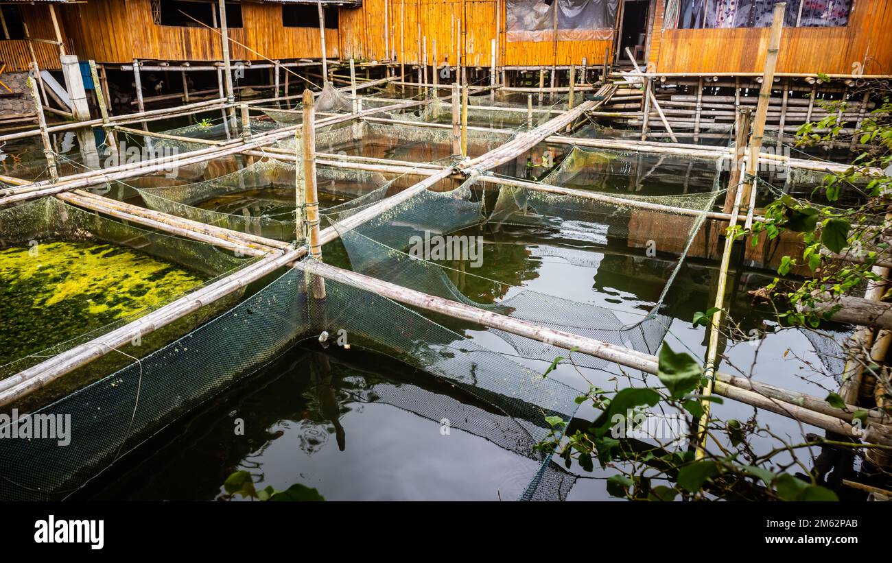 traditional fish farm on lake tondano made of bamboo Stock Photo - Alamy