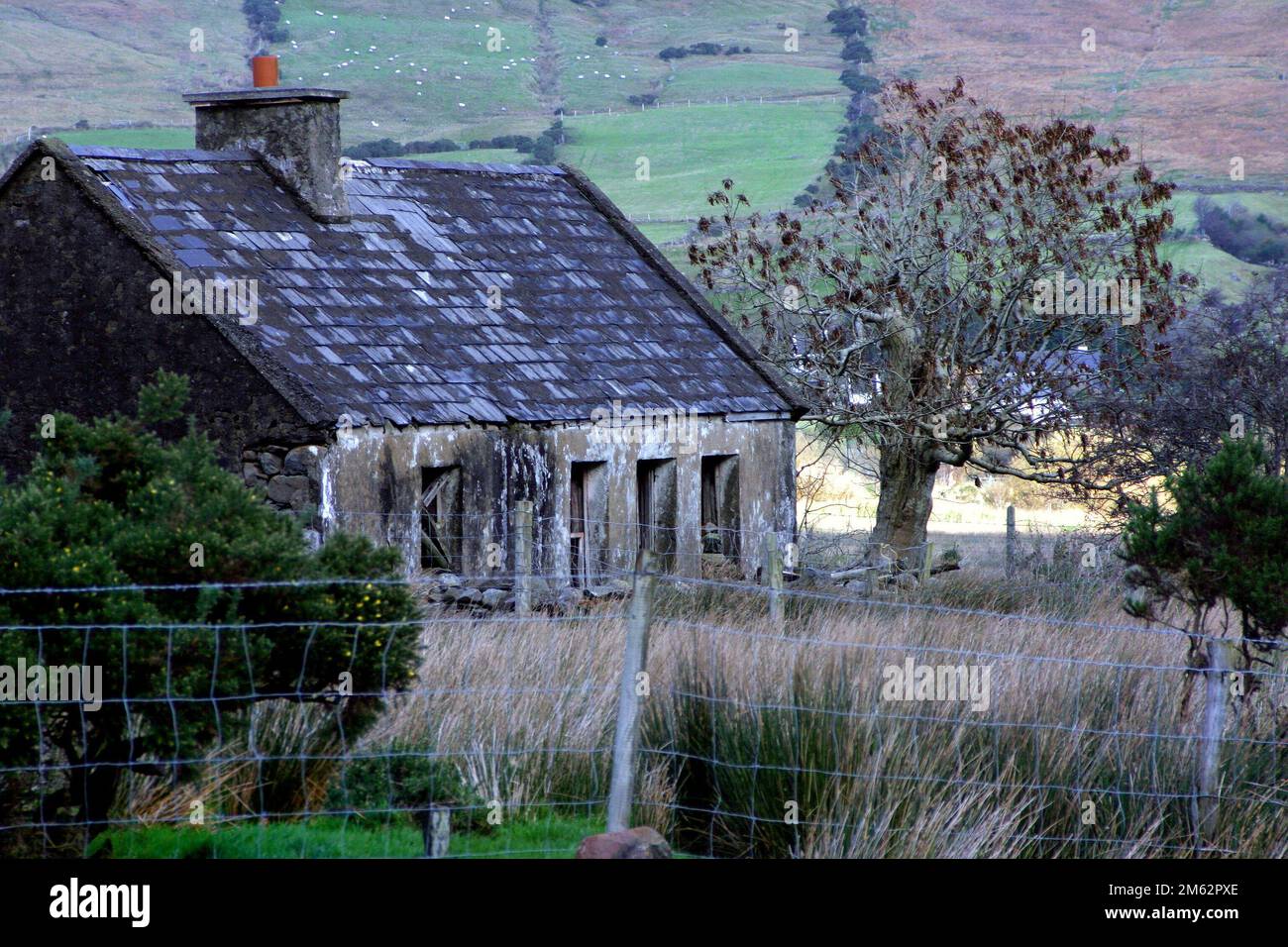 Old abandoned Irish farmhouse, County Galway, Ireland Stock Photo - Alamy