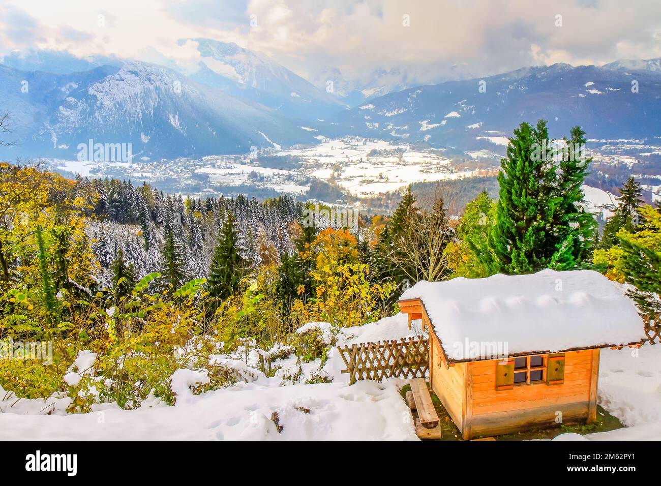 Road in alpine woodland and snowy pine woods in bavarian Alps at autumn ...