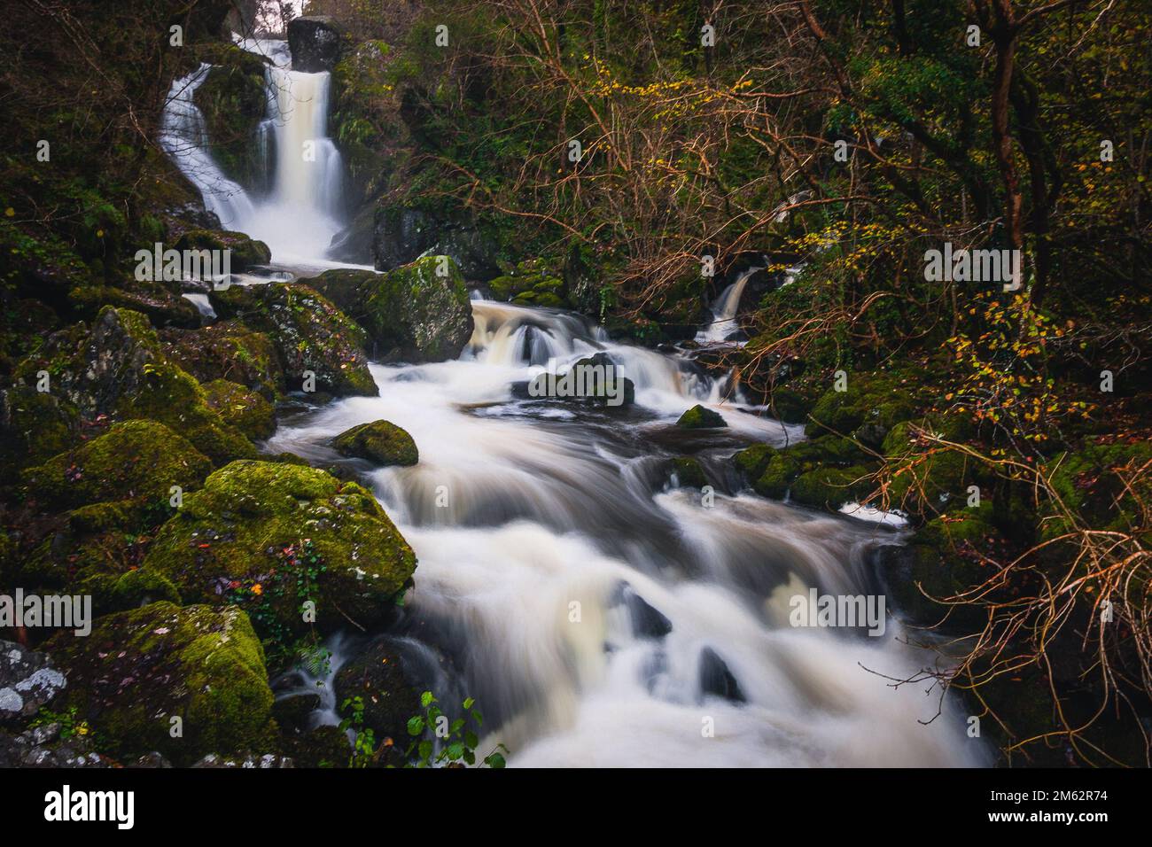 Seamus heaney walk hi-res stock photography and images - Alamy