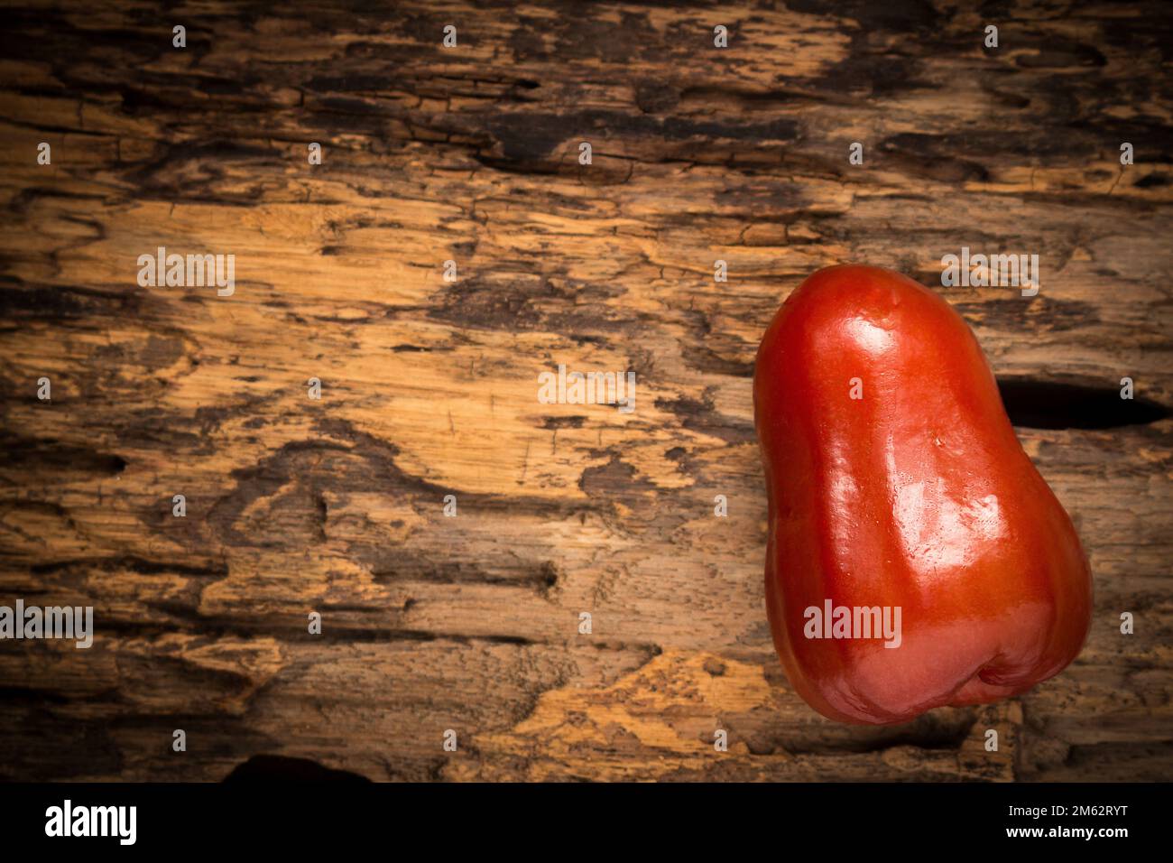 Dark rose floor hi-res stock photography and images - Alamy