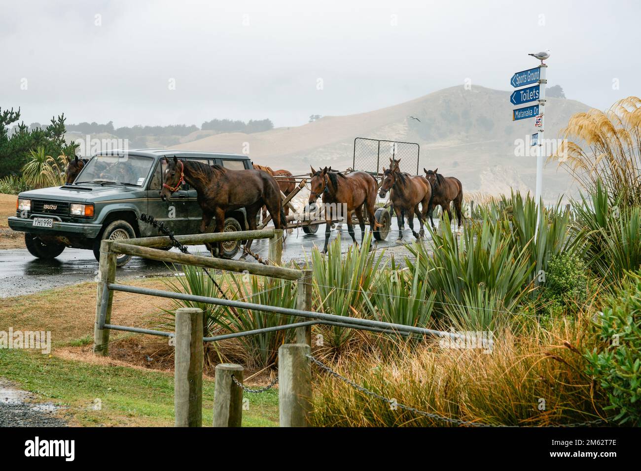Moeraki New Zealand - March 5 2010; Road sign points to sports ground ...