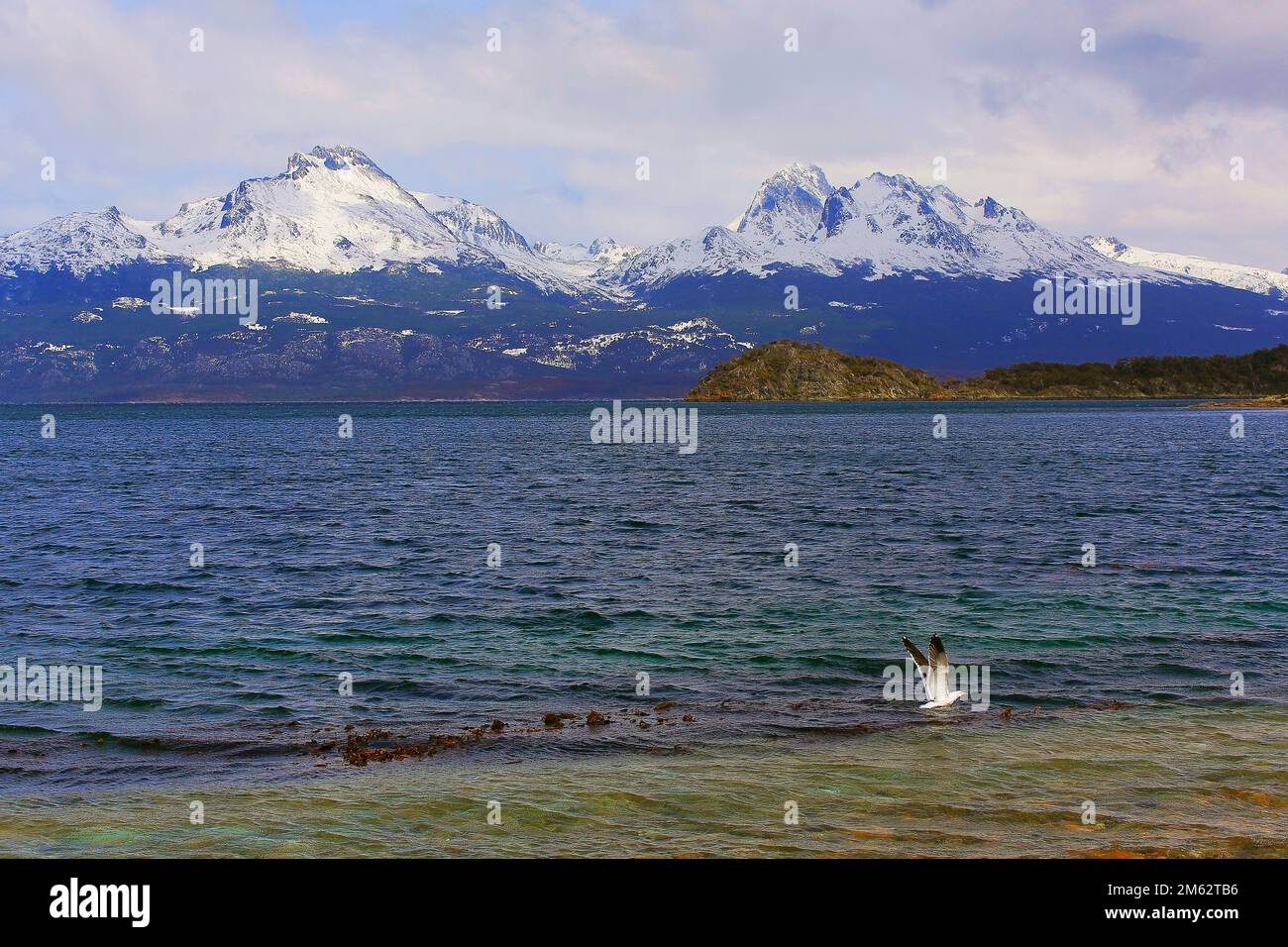 Beagle Channel in Tierra Del Fuego, Ushuaia, Argentina Stock Photo - Alamy