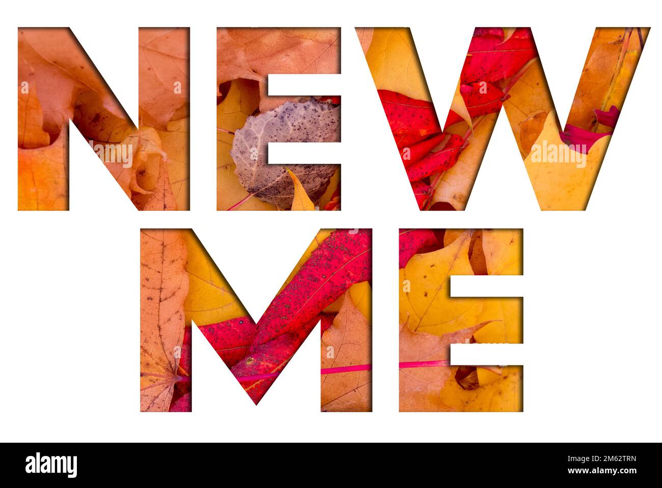 Autumn leaves, objects with New Me text. Natural patterns, color design ...