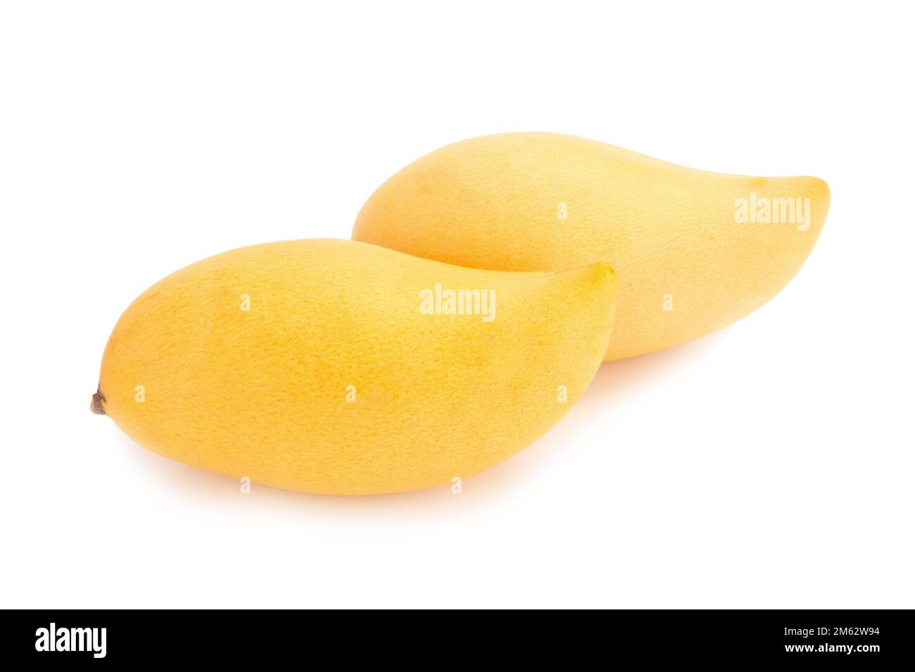 Mango isolated no white background Stock Photo - Alamy